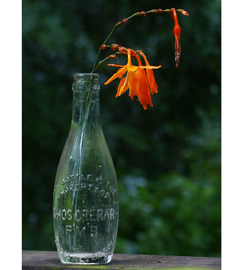 Message on a bottle – letting nature back in