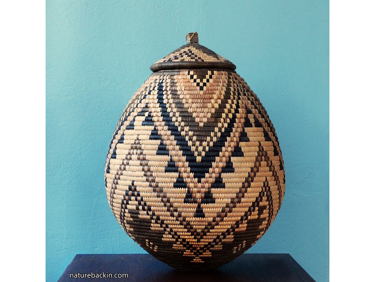 Living heritage: The art of basketry – letting nature back in