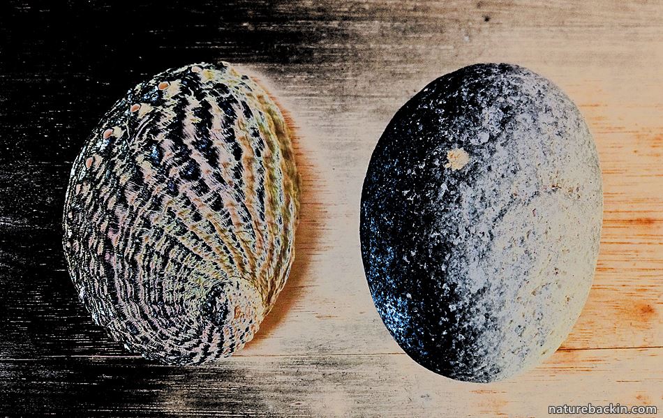 Paleolithic – letting nature back in