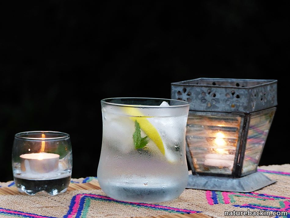African Sundown/Sundowner – letting nature back in