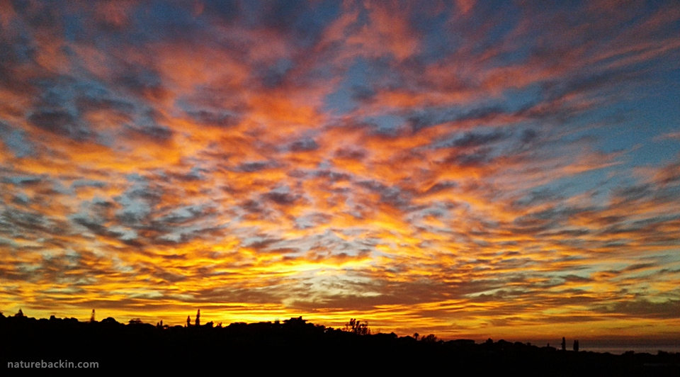 Sunrise, sunset – letting nature back in