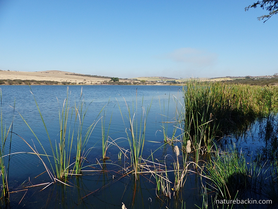 Time out: a jaunt to a nearby game reserve – letting nature back in