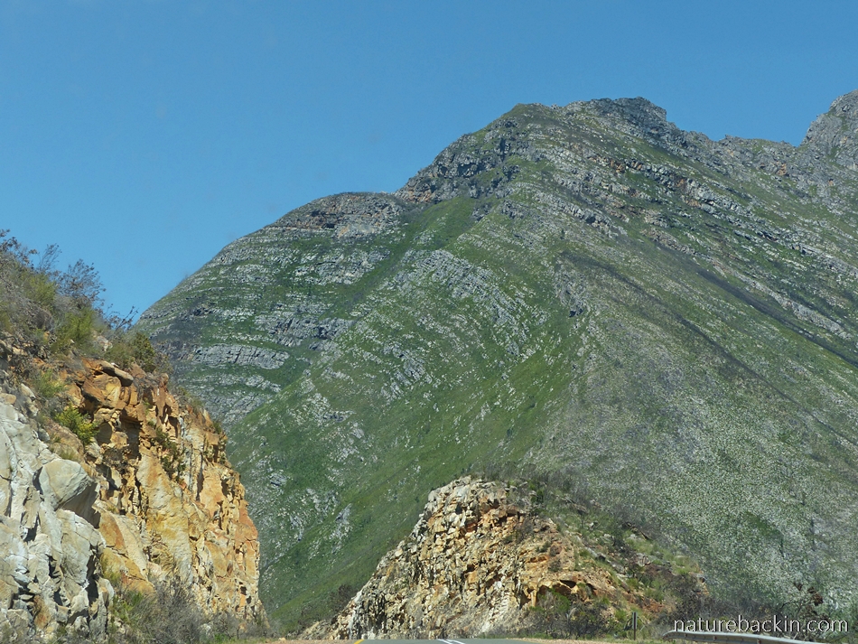 Road Tripping – letting nature back in