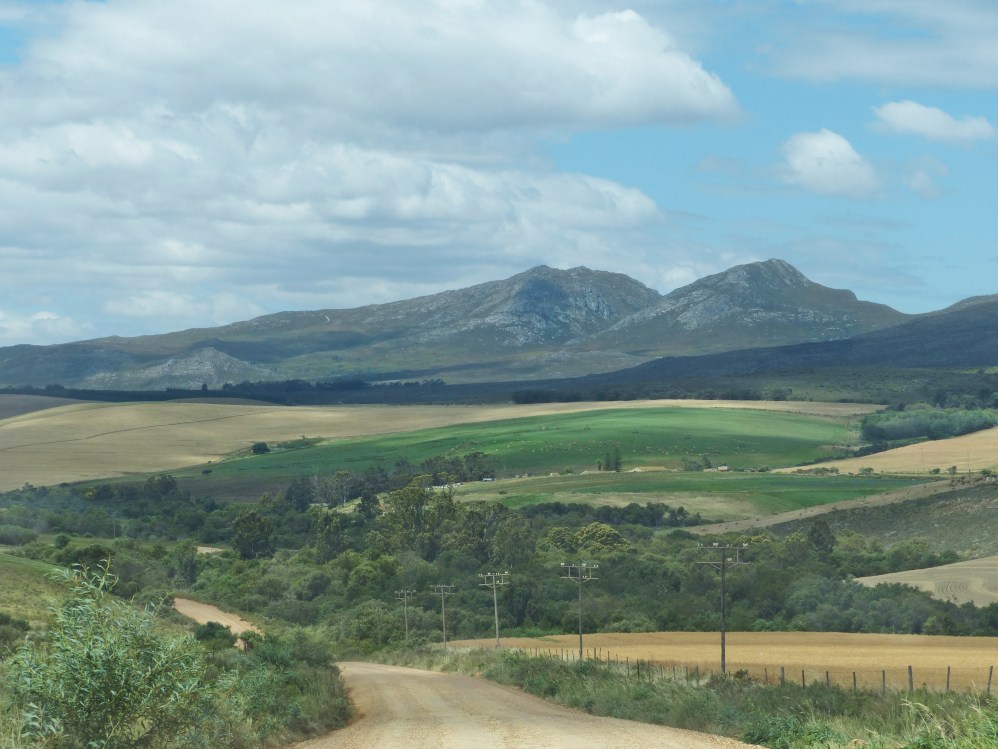 Road Tripping – letting nature back in