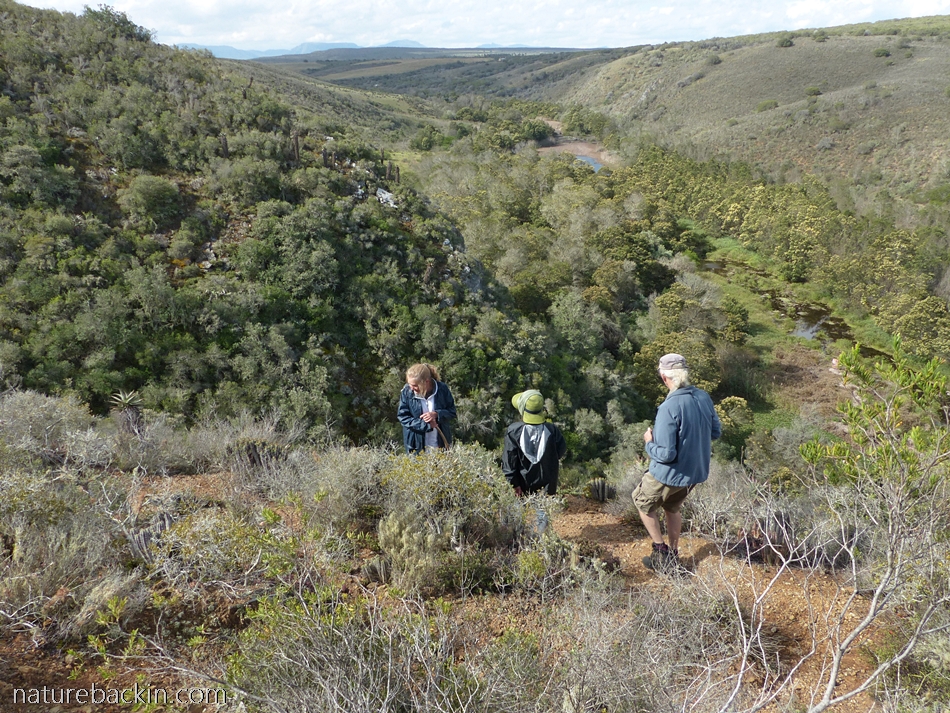 Wild Rescue Nature Reserve: Step out in a peaceful floral kingdom of ...