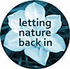 Patterns in nature: Fractals – letting nature back in
