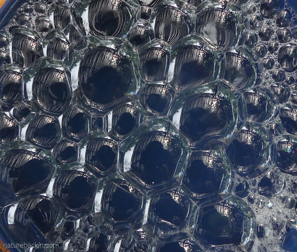 Patterns in nature: The efficiency of hexagons – letting nature back in