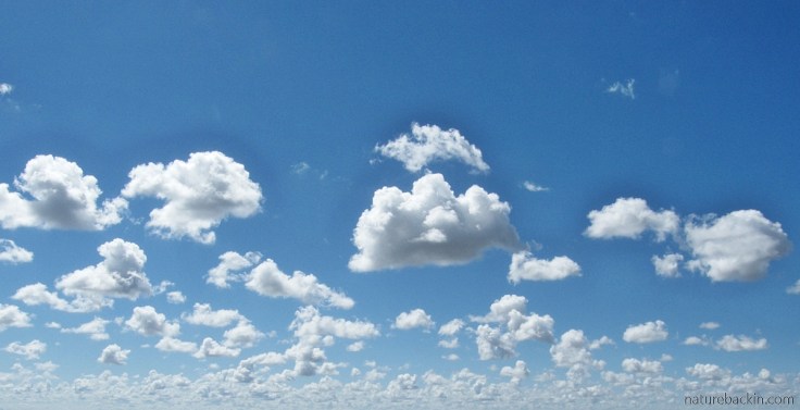 Patterns in nature: Fractals – letting nature back in