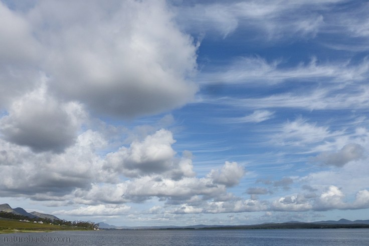 Patterns in nature: Fractals – letting nature back in