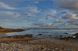 Patterns in nature: Fractals – letting nature back in