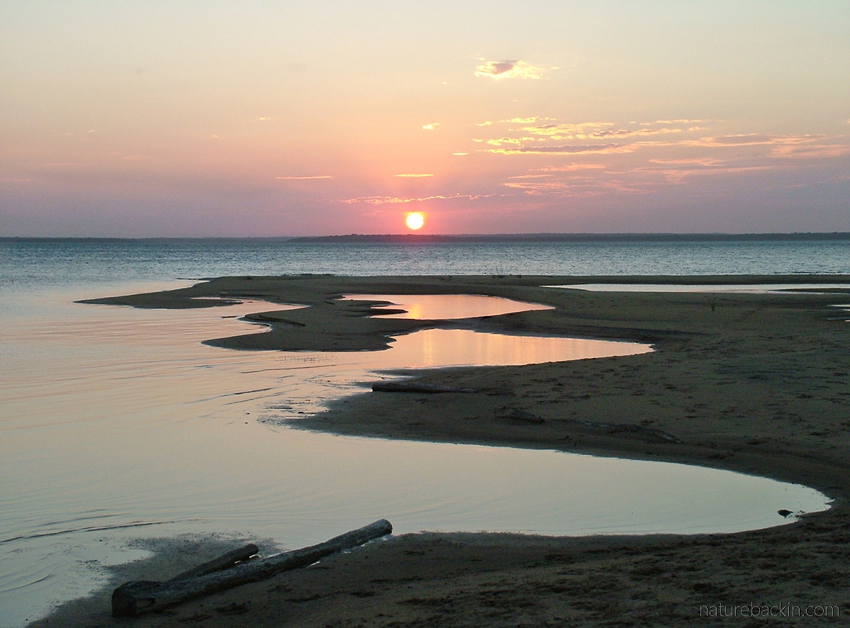 Patterns in nature: Fractals – letting nature back in
