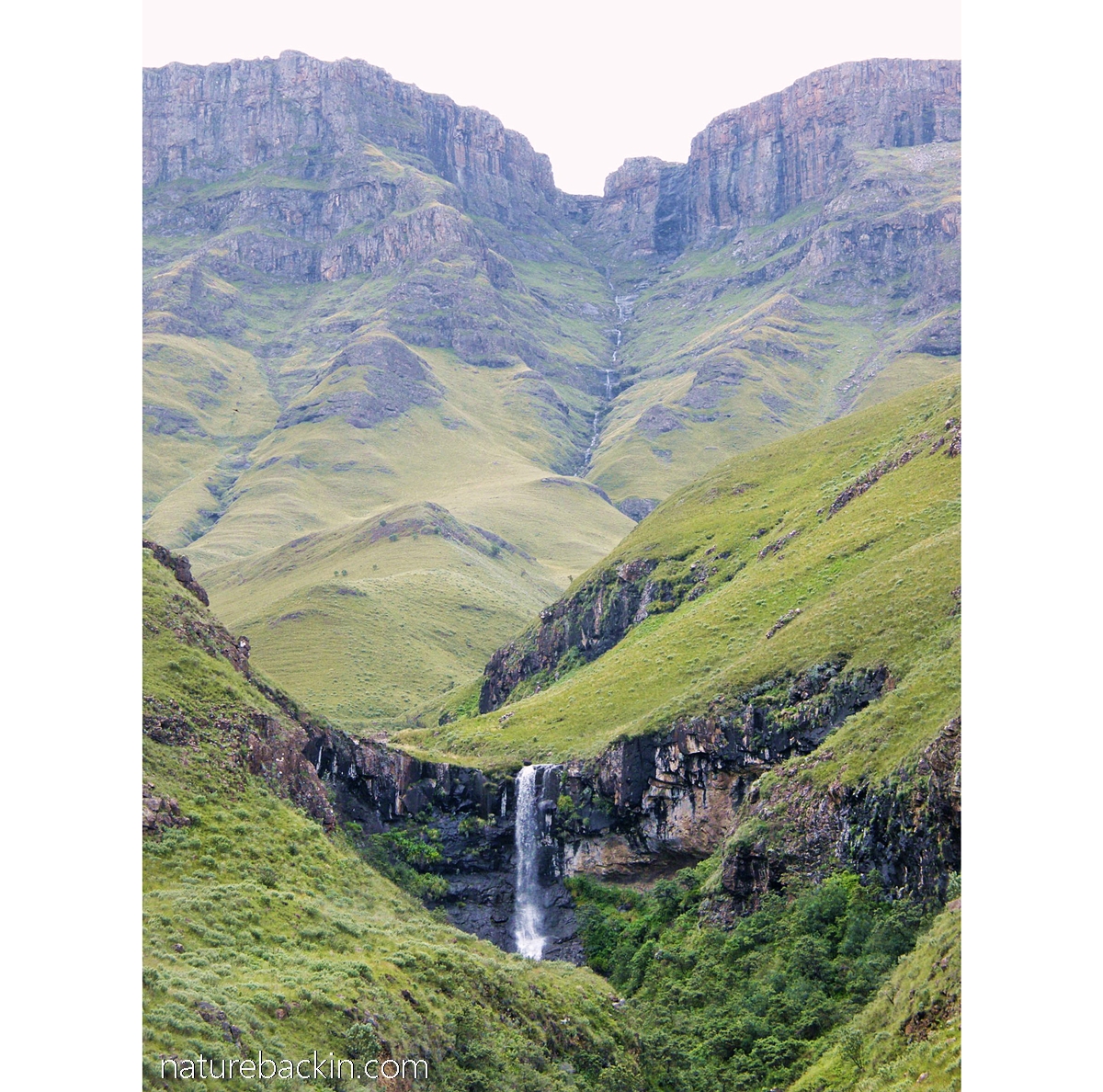 Going with the flow: Some southern African rivers and wetlands ...