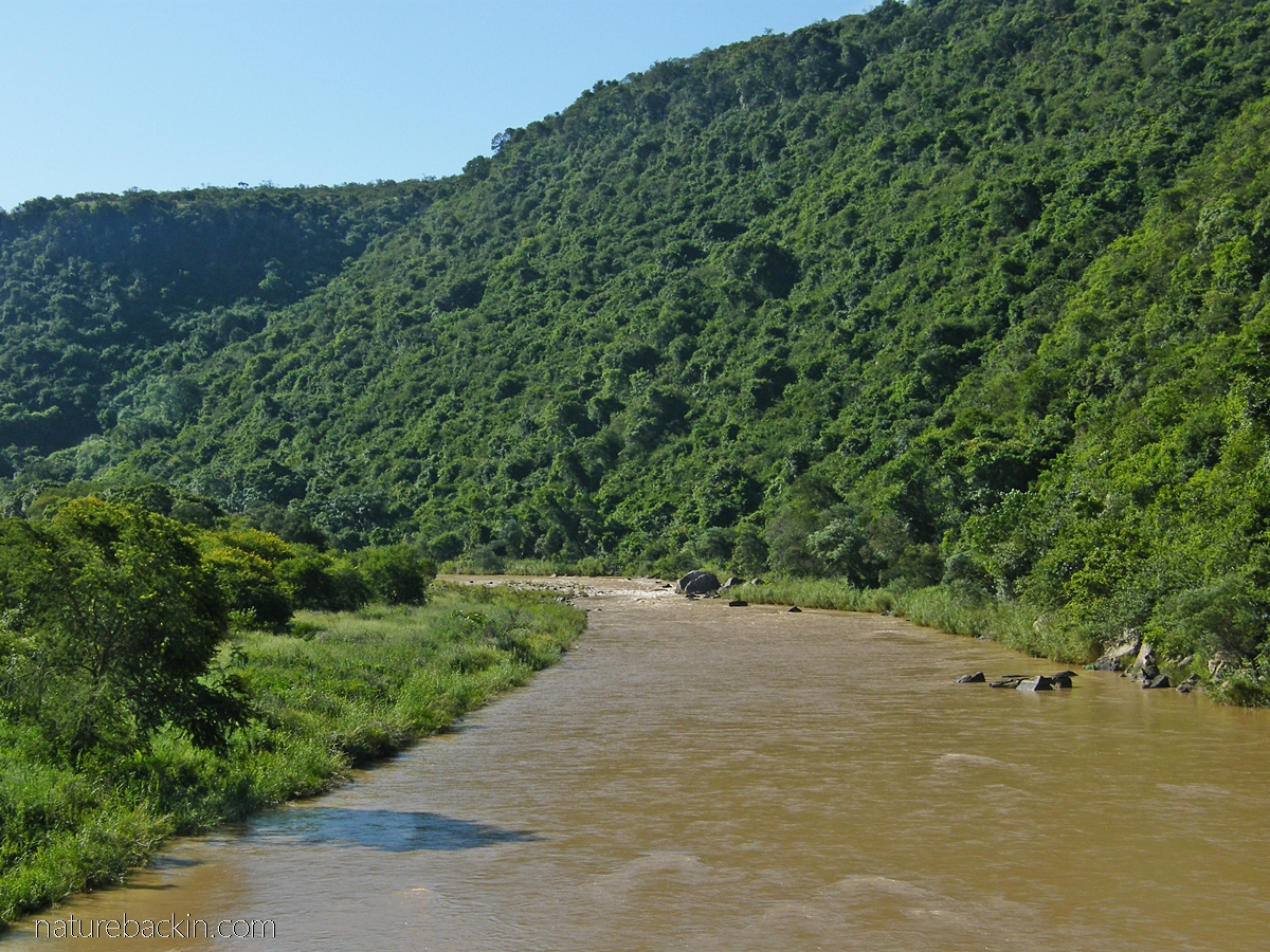 Going with the flow: Some southern African rivers and wetlands ...