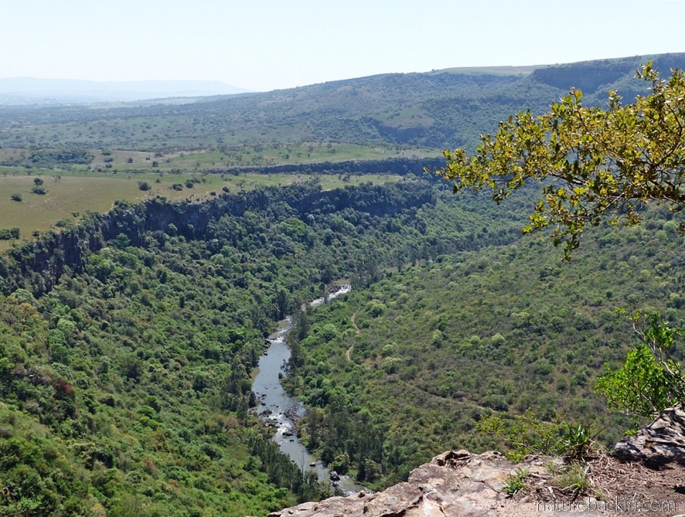 Going with the flow: Some southern African rivers and wetlands ...