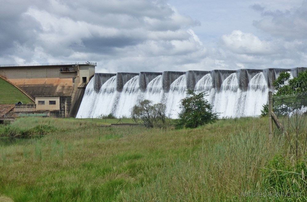 Going with the flow: Some southern African rivers and wetlands ...