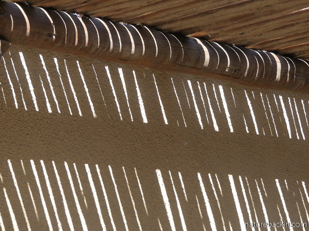 Abstract photos from Kruger National Park – letting nature back in