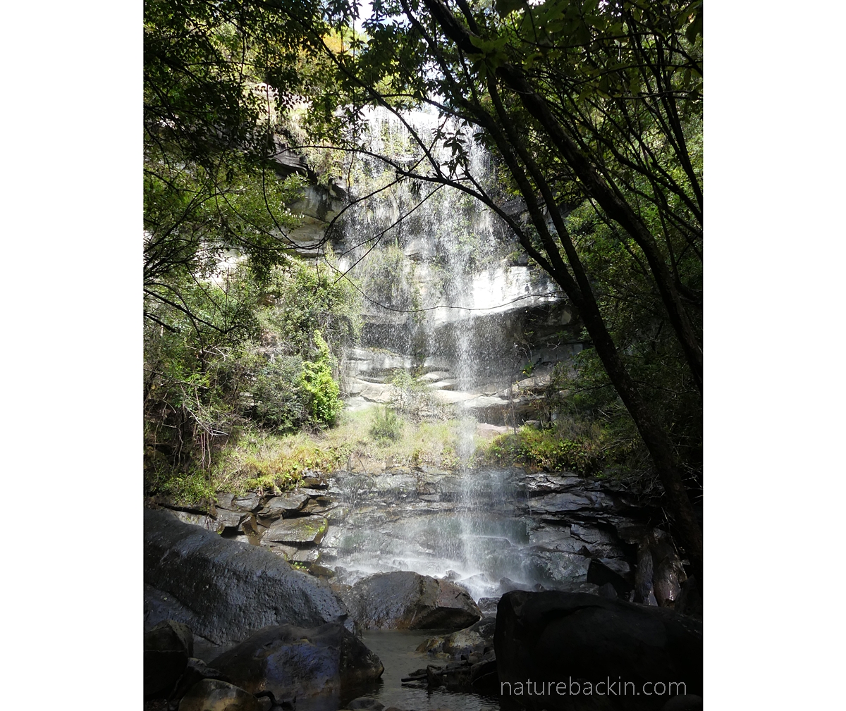 Following footpaths in the central Drakensberg – letting nature back in