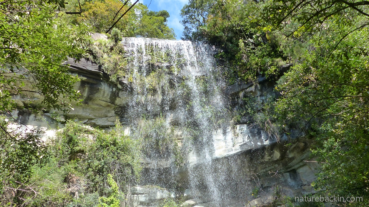 Following footpaths in the central Drakensberg – letting nature back in