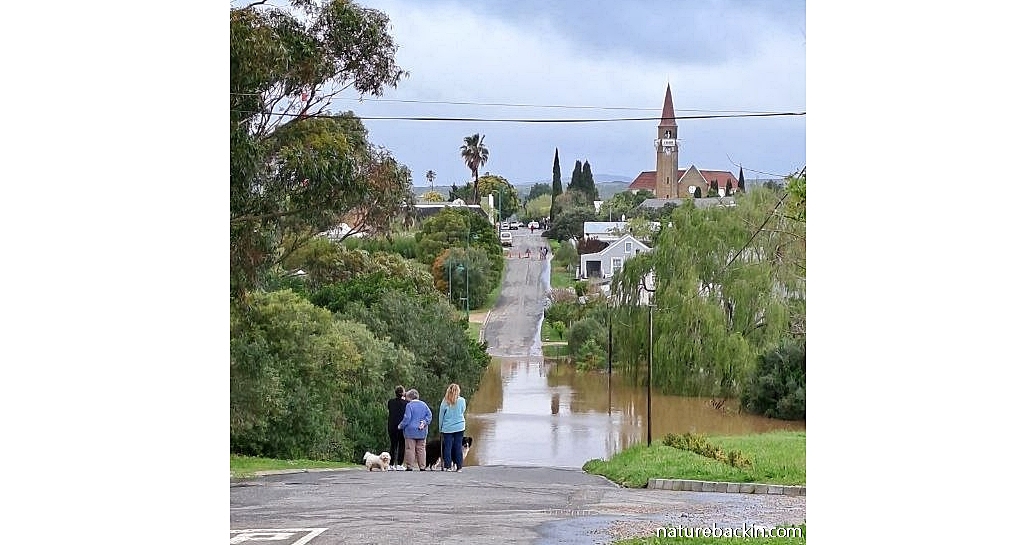 After cataracts, storms and floods, I’m back … – letting nature back in